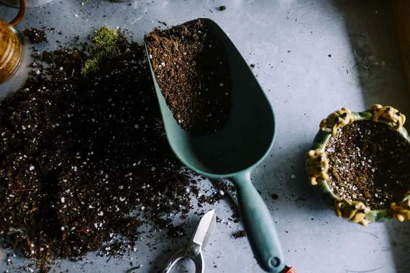 What’s the difference between topsoil and subsoil? – Earth Cycle