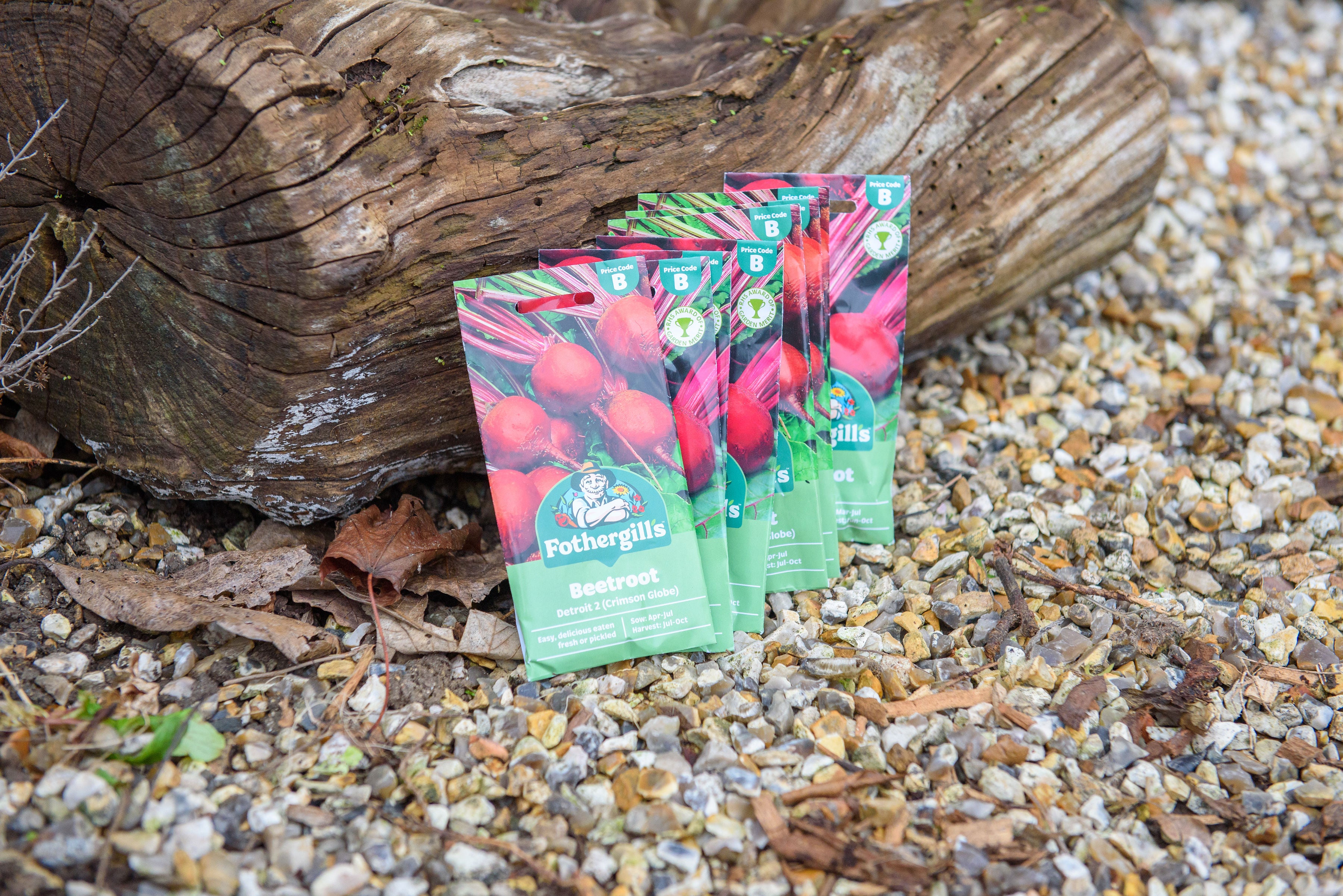 Mr Fothergill's Beetroot Detroit 2 (Crimson Globe) – Earth Cycle