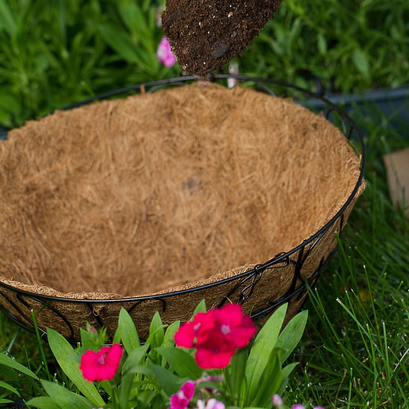 Coco Hanging Basket Liner | Earth Cycle