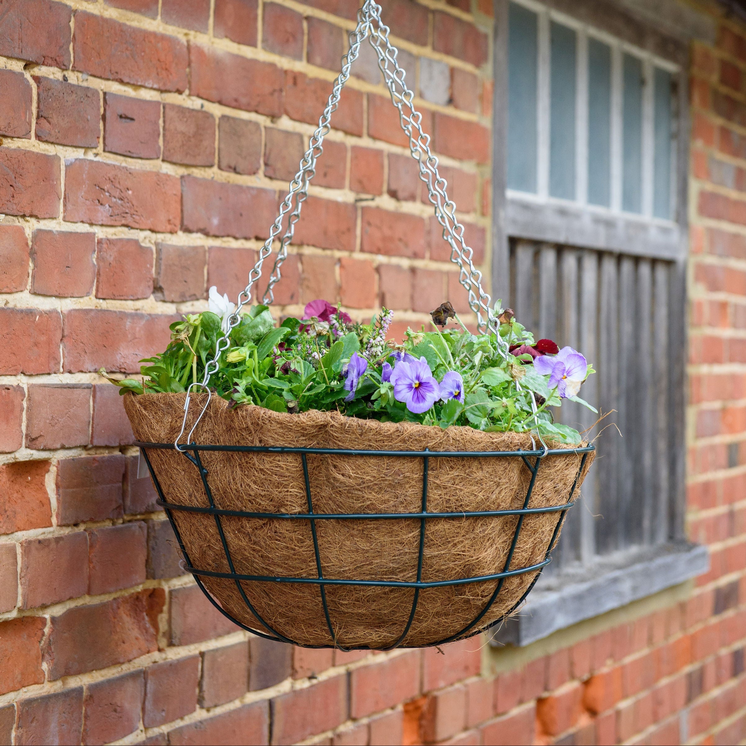 Wire Hanging Basket | Earth Cycle
